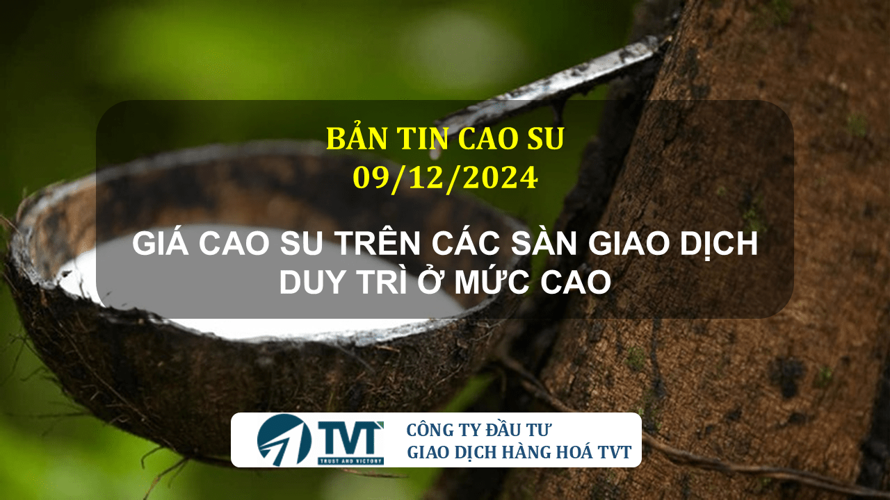 Bản tin cao su 09/12/2024: Giá cao su trên các sàn giao dịch duy trì ở ...