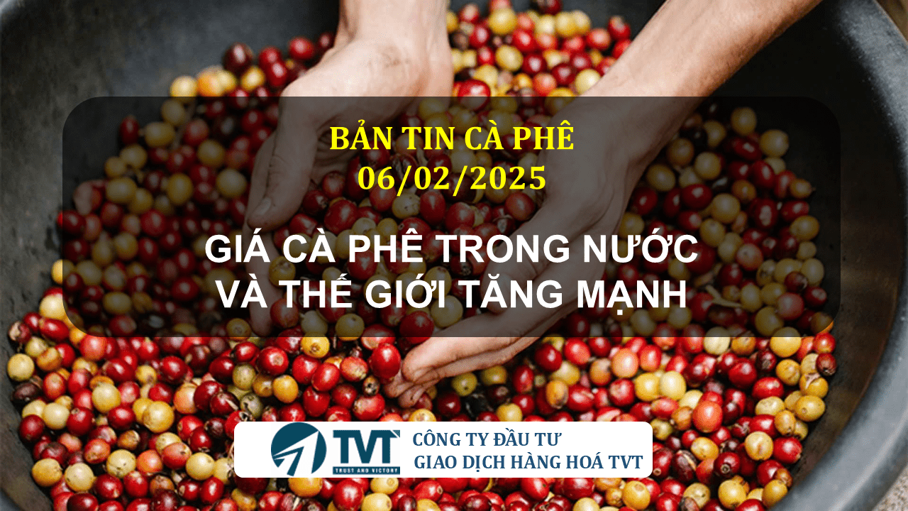 Bản tin cà phê 06/02/2025: Giá cà phê trong nước và thế giới tăng mạnh