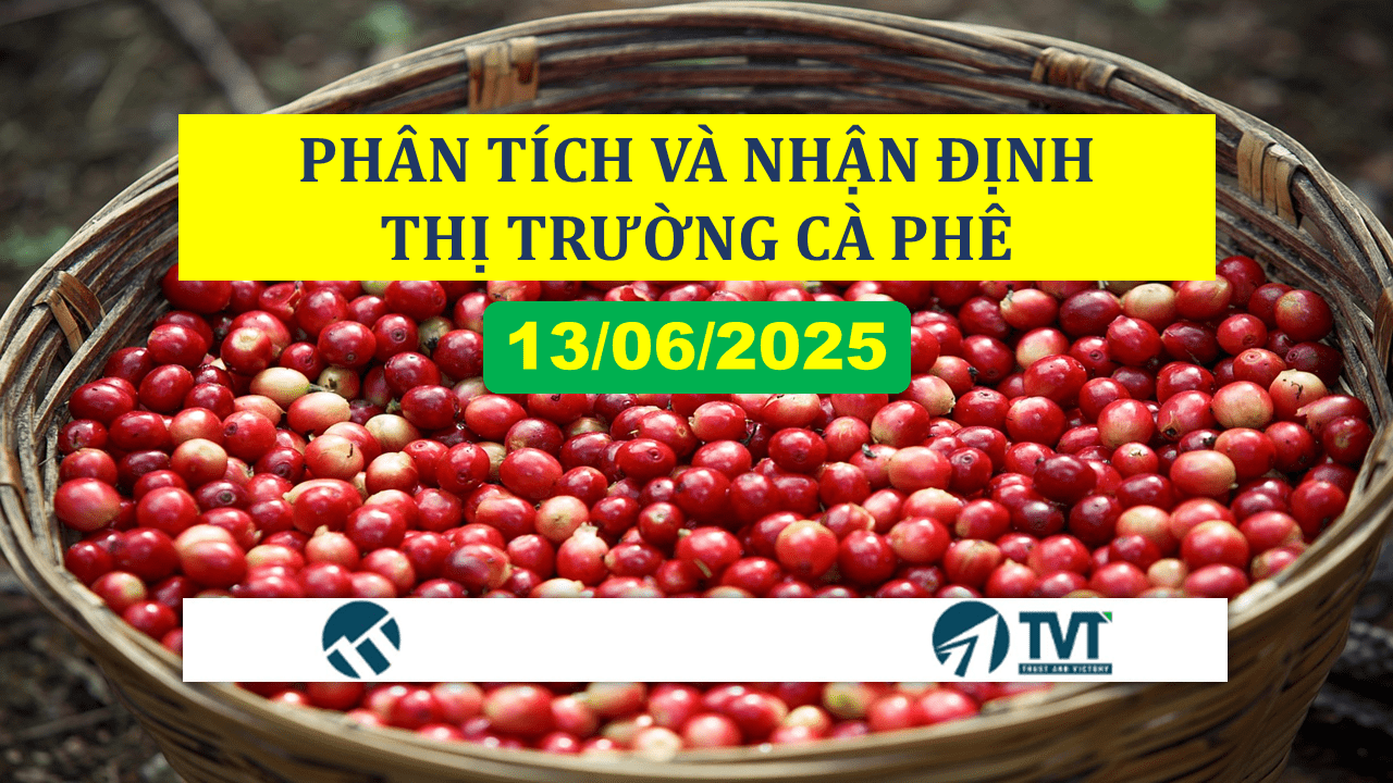 PHÂN TÍCH VÀ NHẬN ĐỊNH THỊ TRƯỜNG CÀ PHÊ 13/06/2025